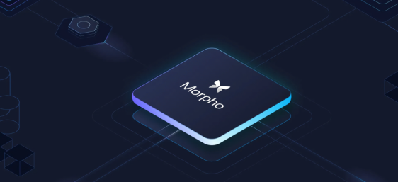 Обзор проекта Morpho и потенциальный айрдроп